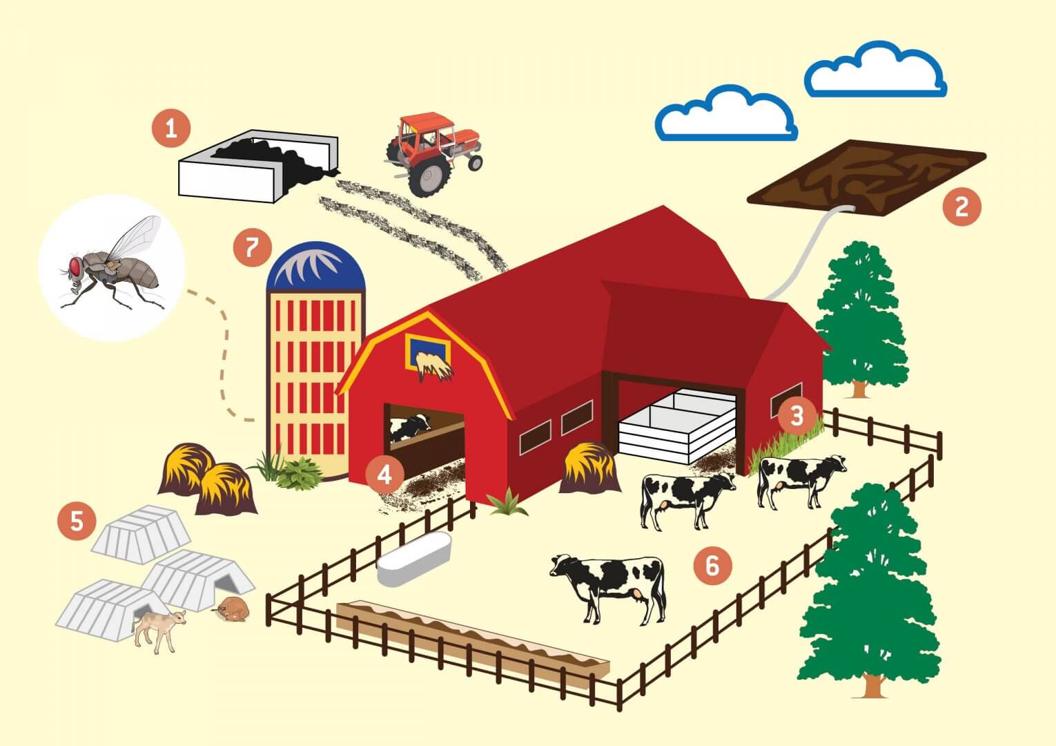 Fly Control in Dairy Facilities: Get The Most Out of Your Insecticides ...